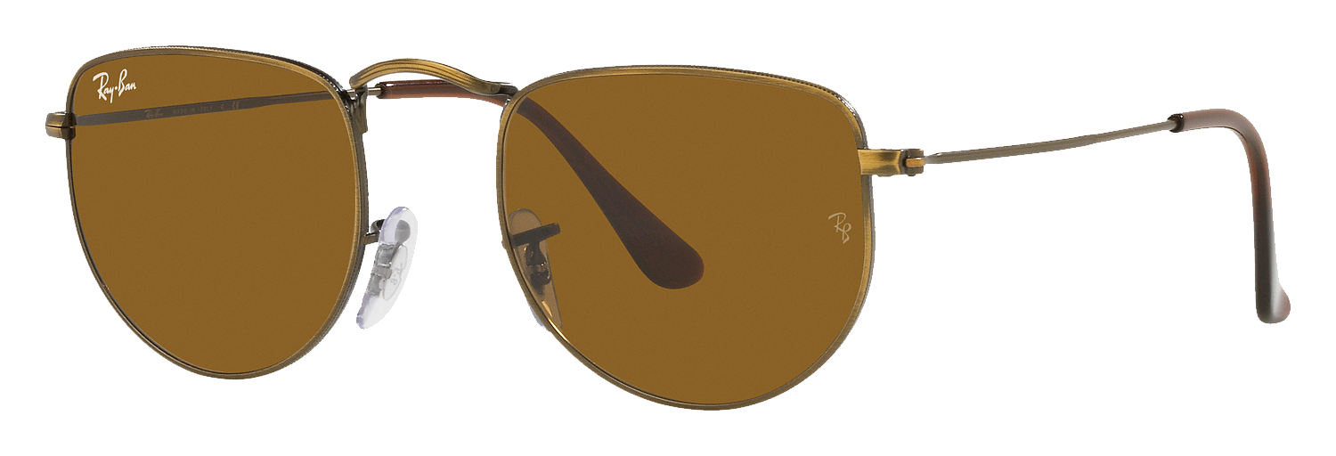 Ray-Ban Elon RB3958 Glass Sunglasses | Bass Pro Shops